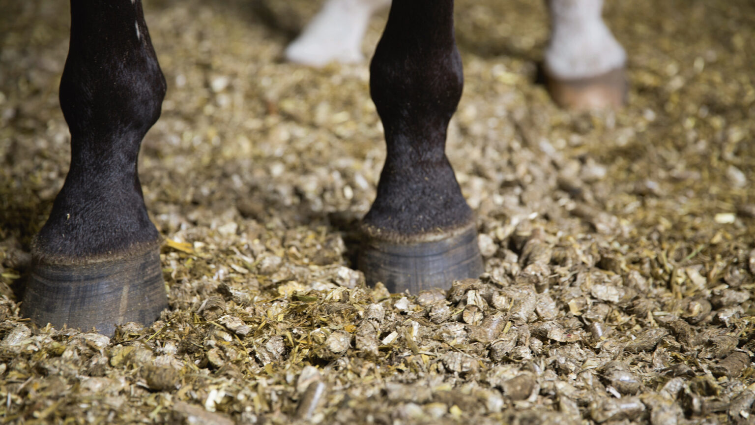 Pellets – für unsere Pferde nur das Beste - Strukturpellets